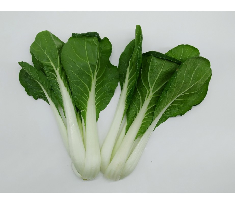 White pak choi